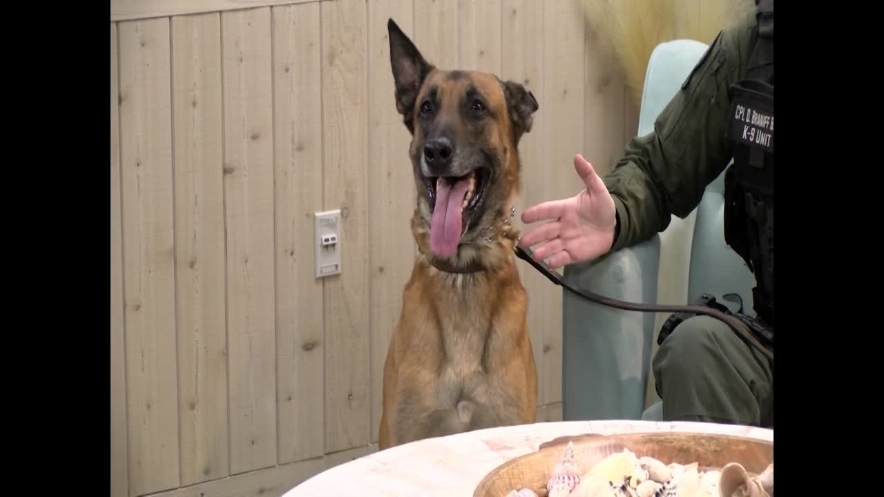 K-9 Klem’s Retirement with Corporal Danielle Braniff - YouTube