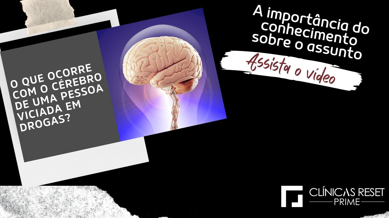 O CÉREBRO DE UMA PESSOA VICIADA EM DROGAS? - YouTube
