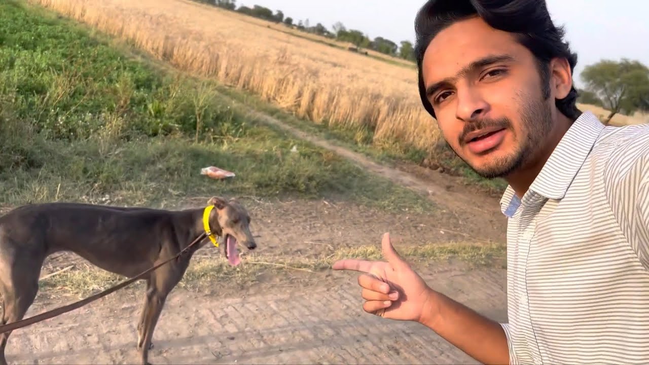 12 lakh ka shikari kutta 😱 - YouTube