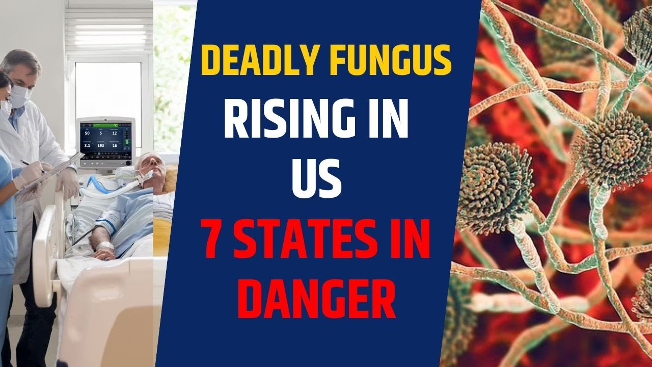 Fungal Outbreak in US: Airborne Fungus Soar, 7 States on High Alert ...