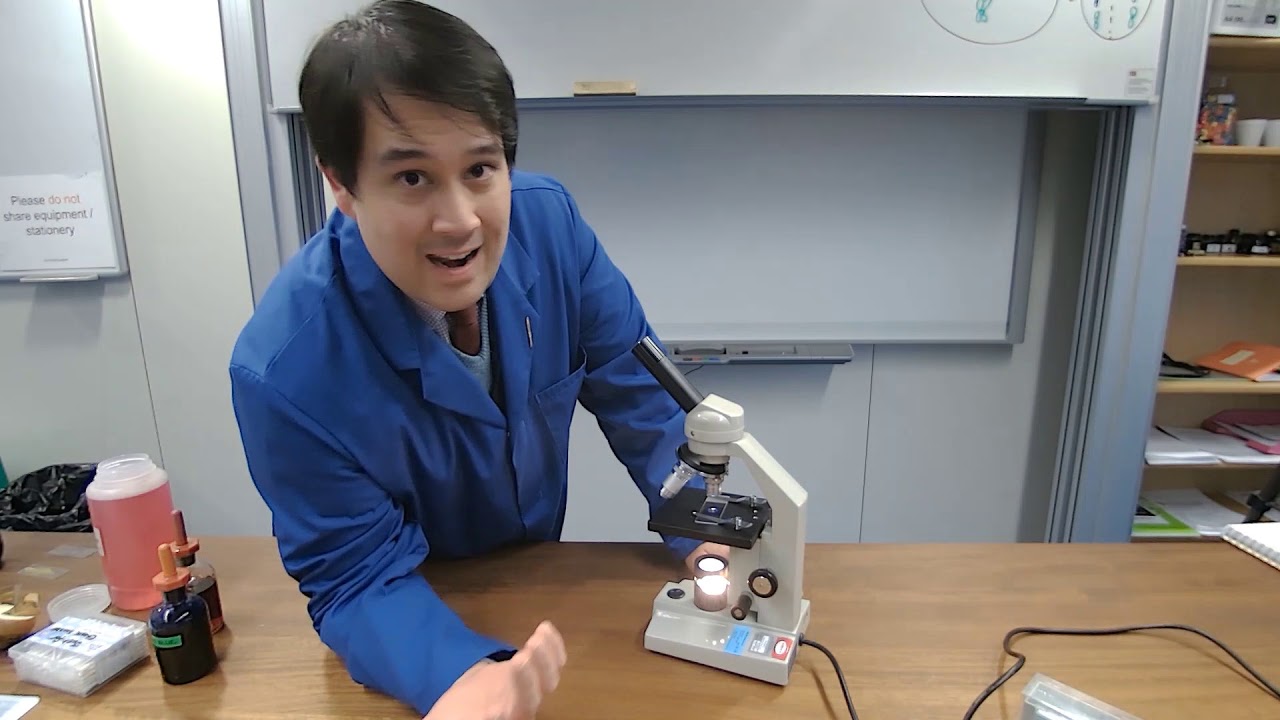 AQA GCSE Biology - Required Practical - Microscope Slide Preparation ...