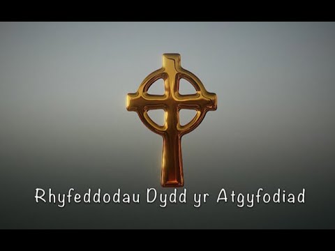 Bydd Myrdd o Ryfeddodau - YouTube