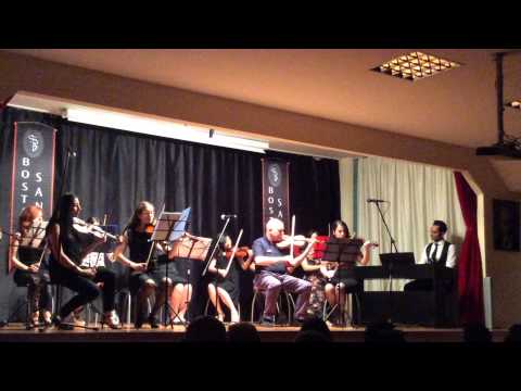 Bostancı Sanat (Keman Kursu, Keman Dersi) (Keman, Piyano, Gitar, Yan flüt)