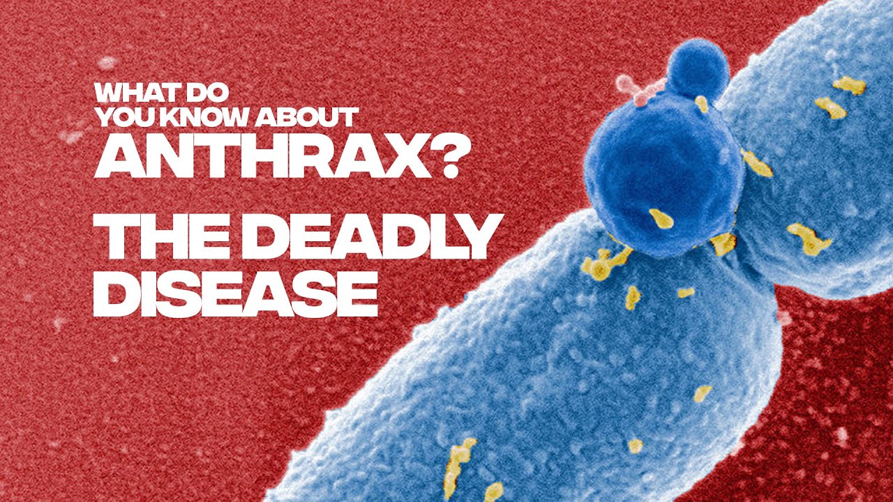 Anthrax Awareness - YouTube
