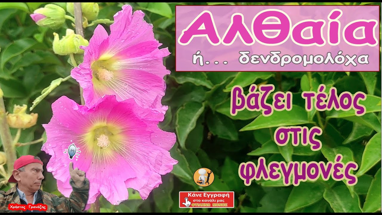 𝞐𝞴𝞱𝞪ί𝞪 ή 𝞓𝞮𝞶𝞭𝞺𝞸𝞵𝞸𝞴ό𝟀𝞪: και πείτε 𝝉έ𝝀𝝄ς 𝝈𝝉𝜾ς 𝝋𝝀𝜺γ𝝁𝝄𝝂ές - YouTube