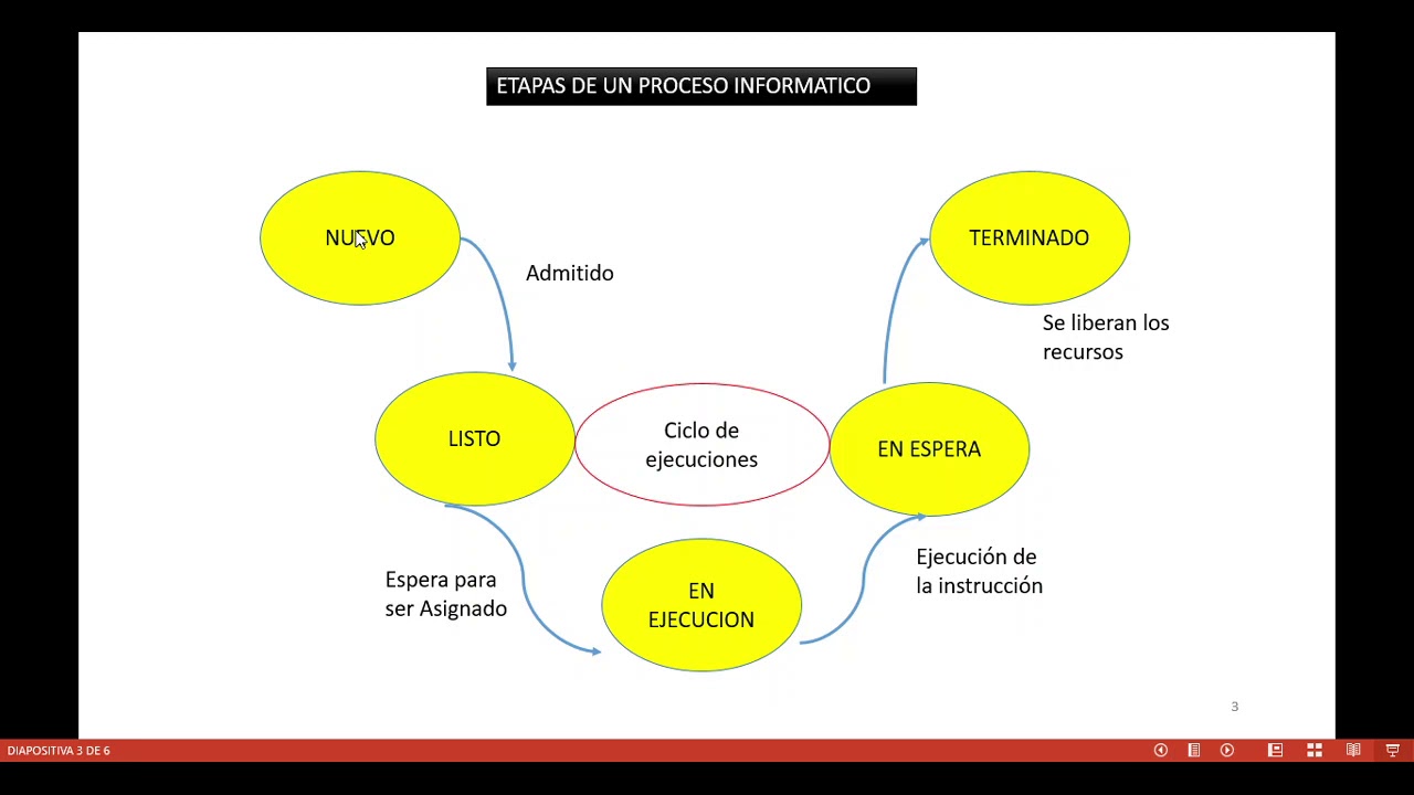 VIDEO 5 PROCESOS INFORMATICOS BASICOA - YouTube