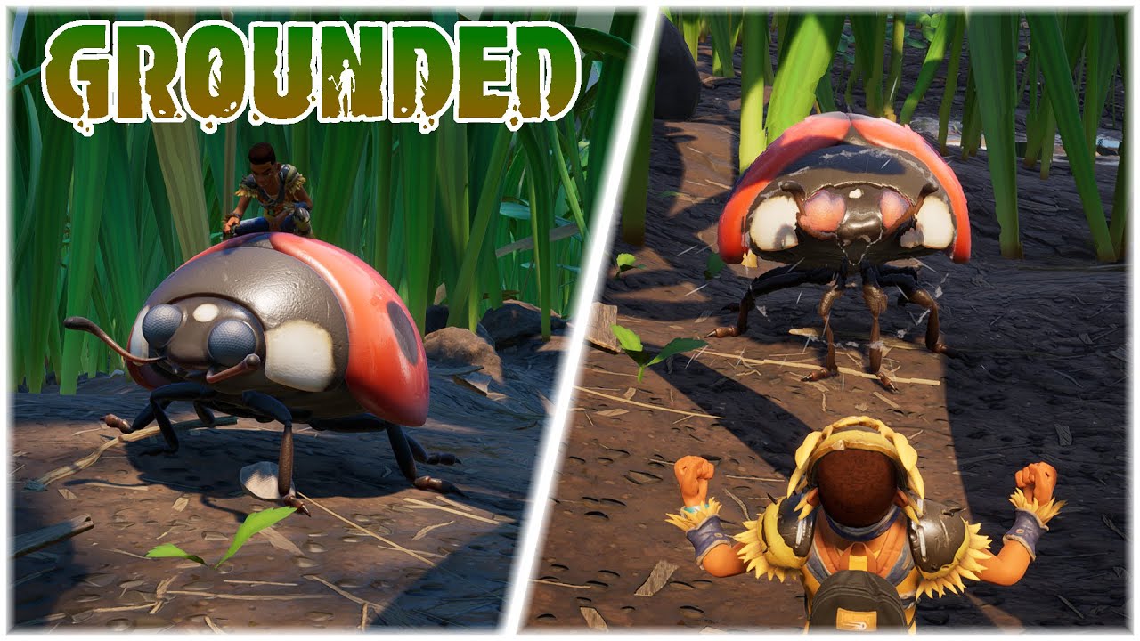 Grounded | Ladybugs Are Not Our Friends!! - YouTube