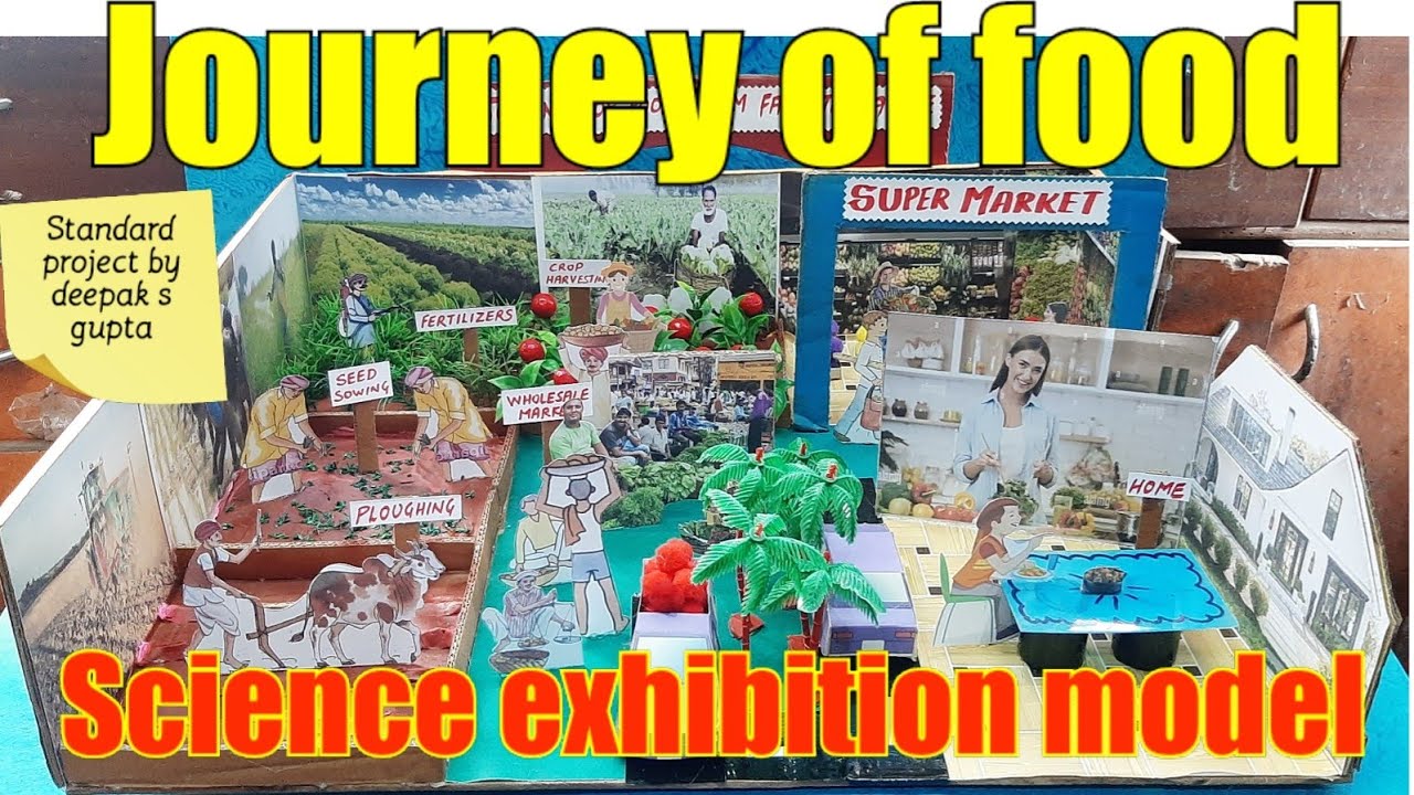 journey of food from field to home #scienceexhibitionmodel # ...