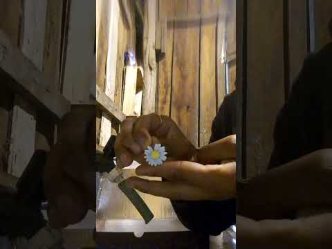 pulseiras ideias.             bombom Rodrigues