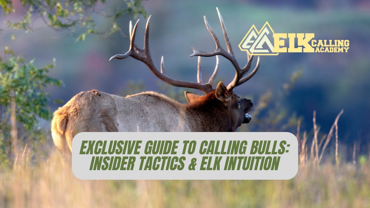 Exclusive Access: Mastering Elk Calling Methods, Mindsets & More - YouTube
