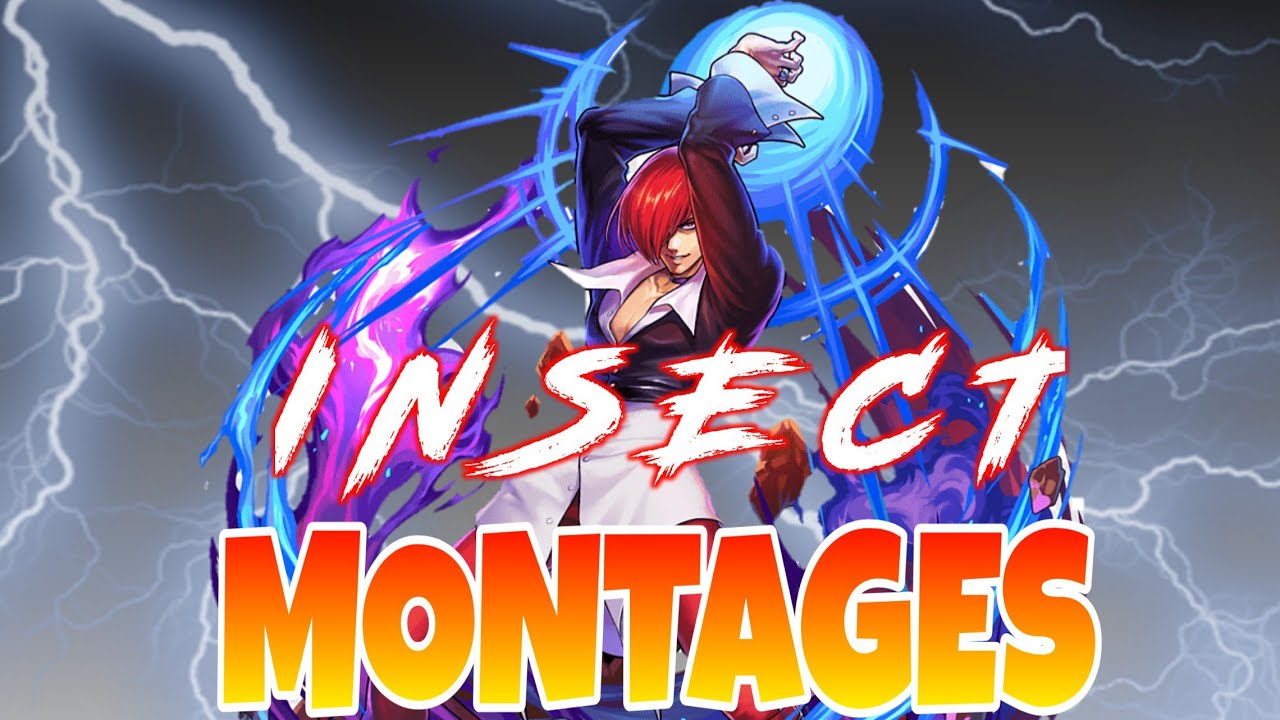 INSECT MONTAGE #9 🔥🔥🔥 ENJOY WATCHING! | INSECT | MLBB - YouTube