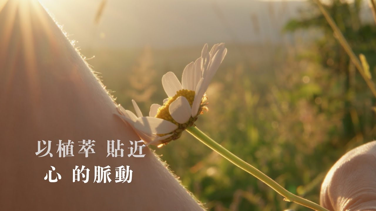 鳳凰大師・千聖秘傳－GP DEVA 週年慶揭開序幕 - YouTube