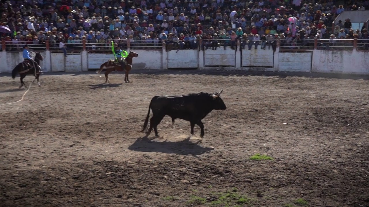 EL GUERO CAMARA COLOR - YouTube