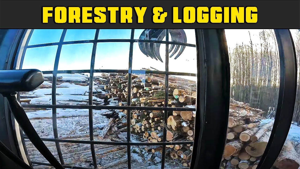 FDR Decks & Sorts Pulp Wood Madill 2800 Loader - Real Life Forestry ...