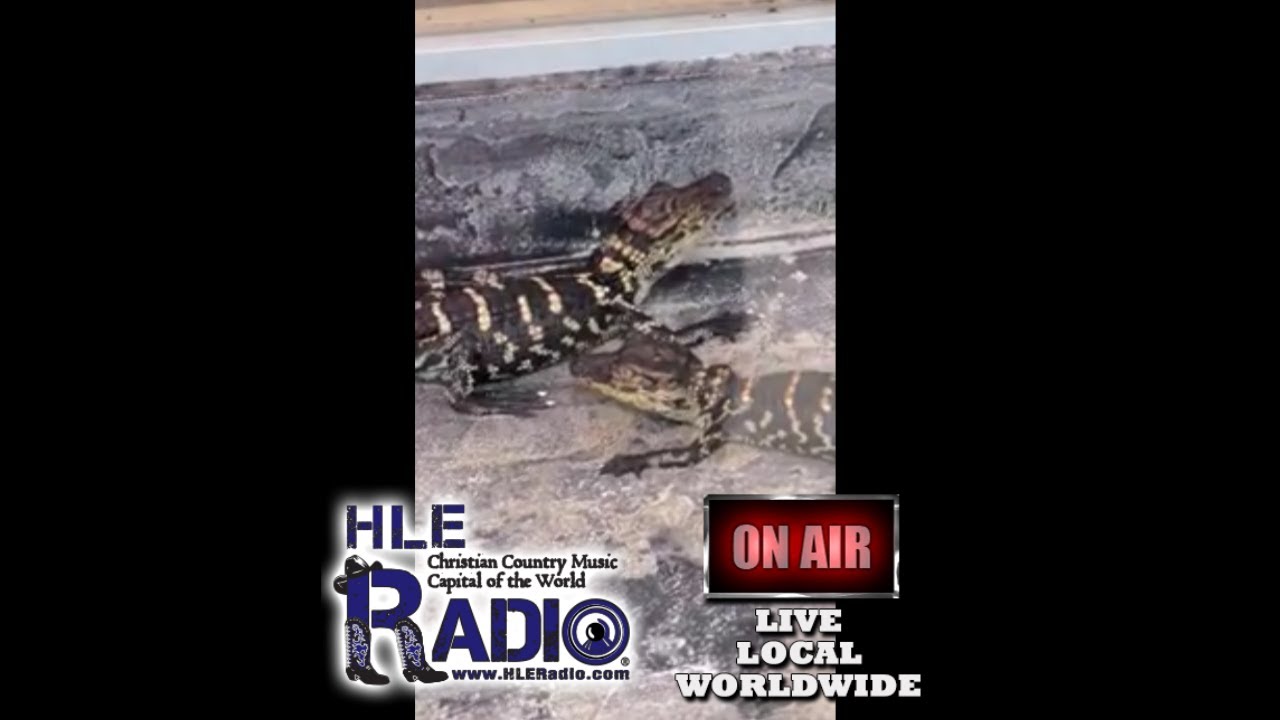 Visiting the Alligator Chateau in Jennings with Roi. - YouTube