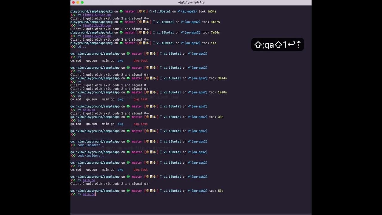 Debug a go program in Neovim with vscode launch.jason configuration ...