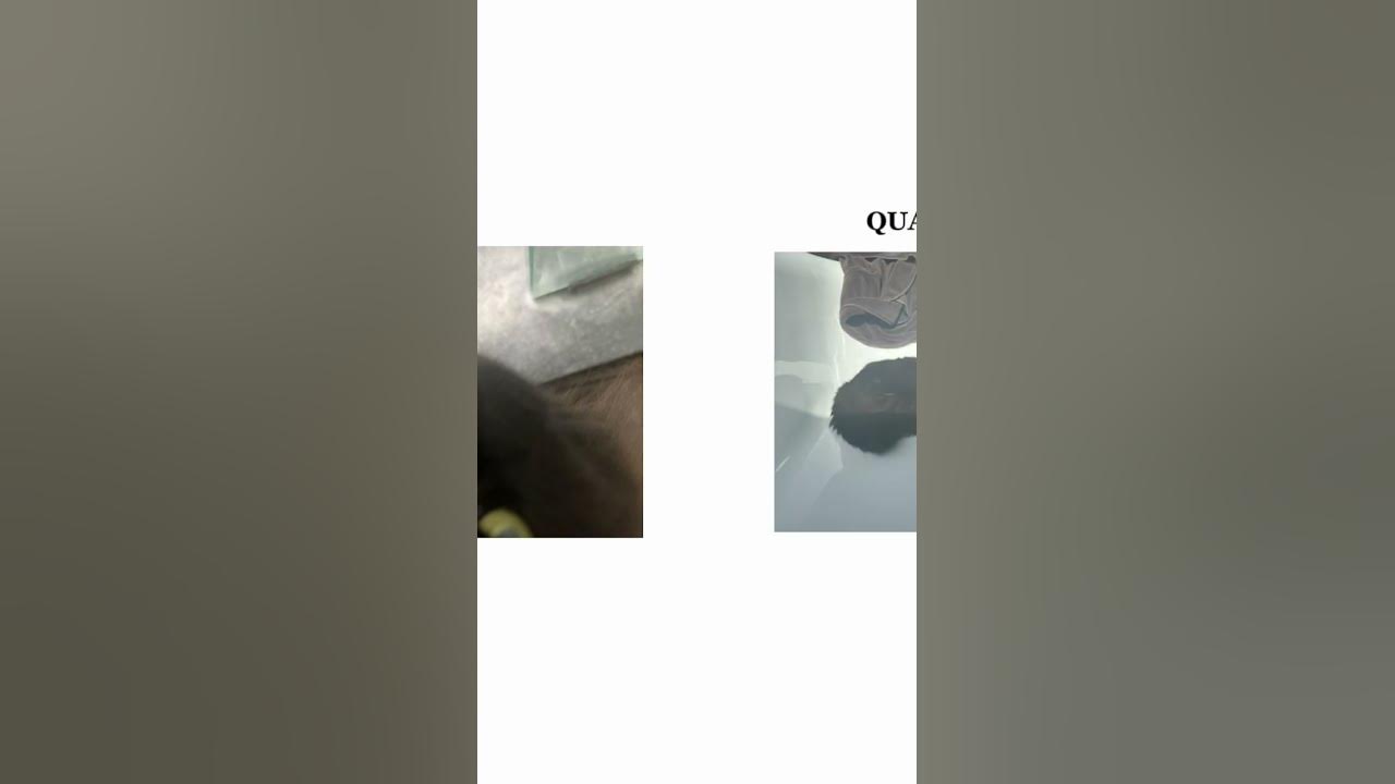 March 30, 2025 - YouTube