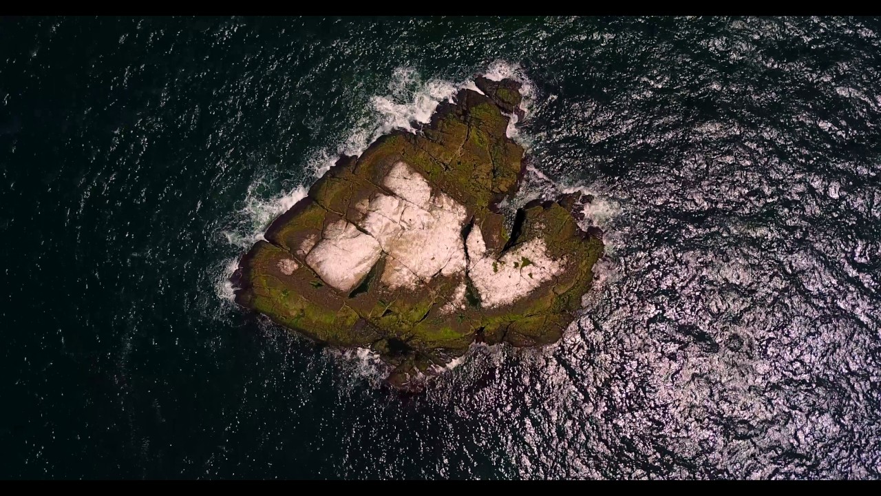 Jon Shina - Existential Crisis - YouTube