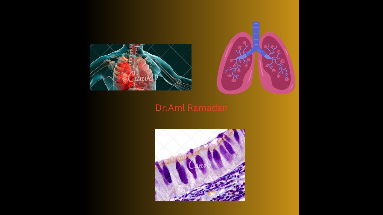 Practical Respiratory - YouTube