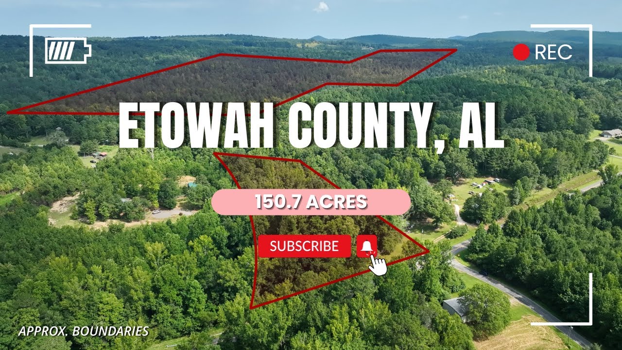 Unrestricted 150-Acre Escape in Etowah County, AL – Perfect for Hunting ...
