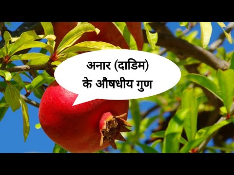 anar fruit benefits|pomegranate| Ayurveda| Fruits benefits - YouTube
