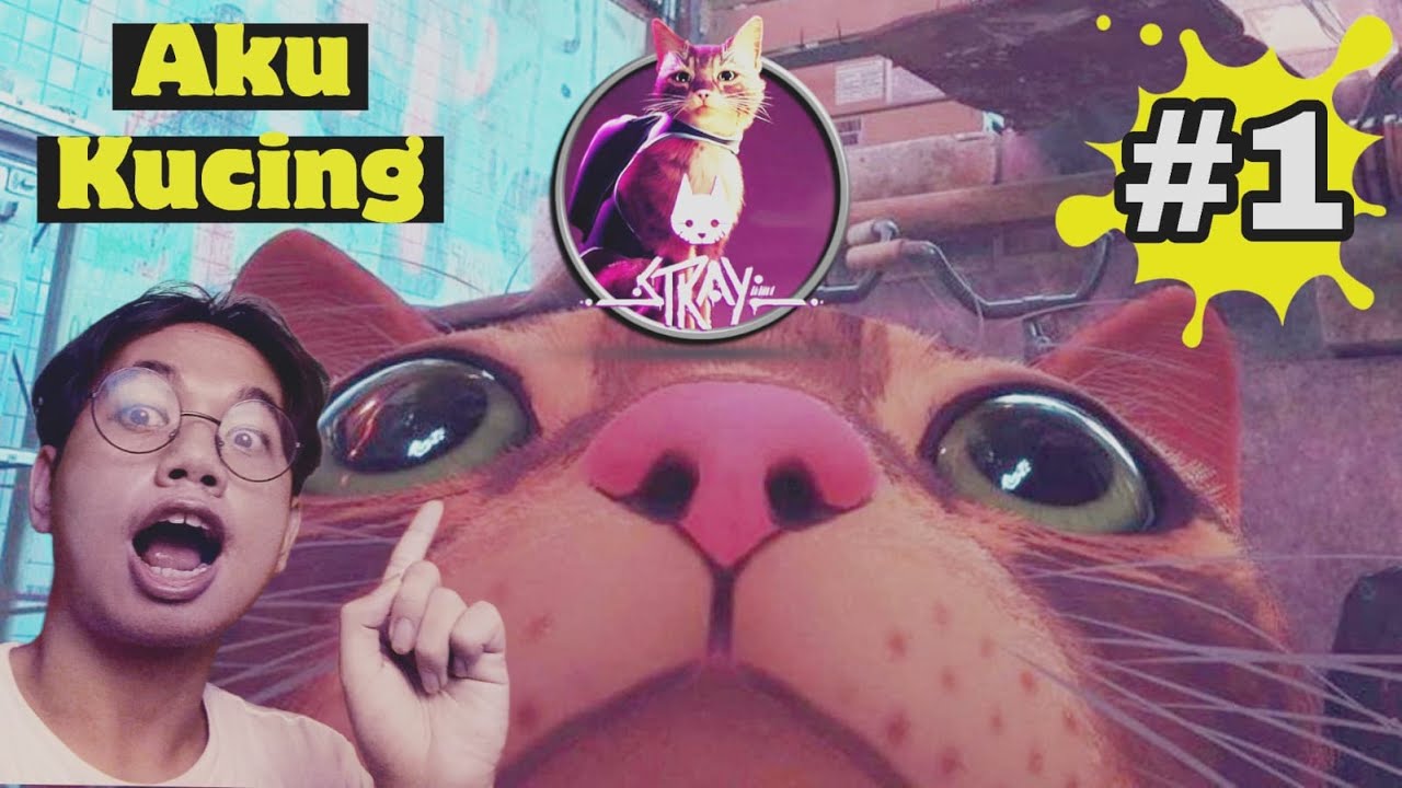 【Stray】Petualangan Orange Catto! - YouTube
