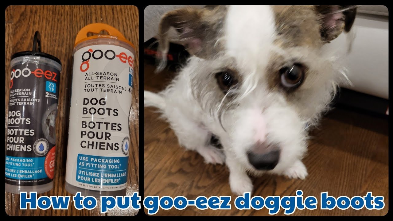 How to put on Goo-Eez dog boots the easy way - YouTube