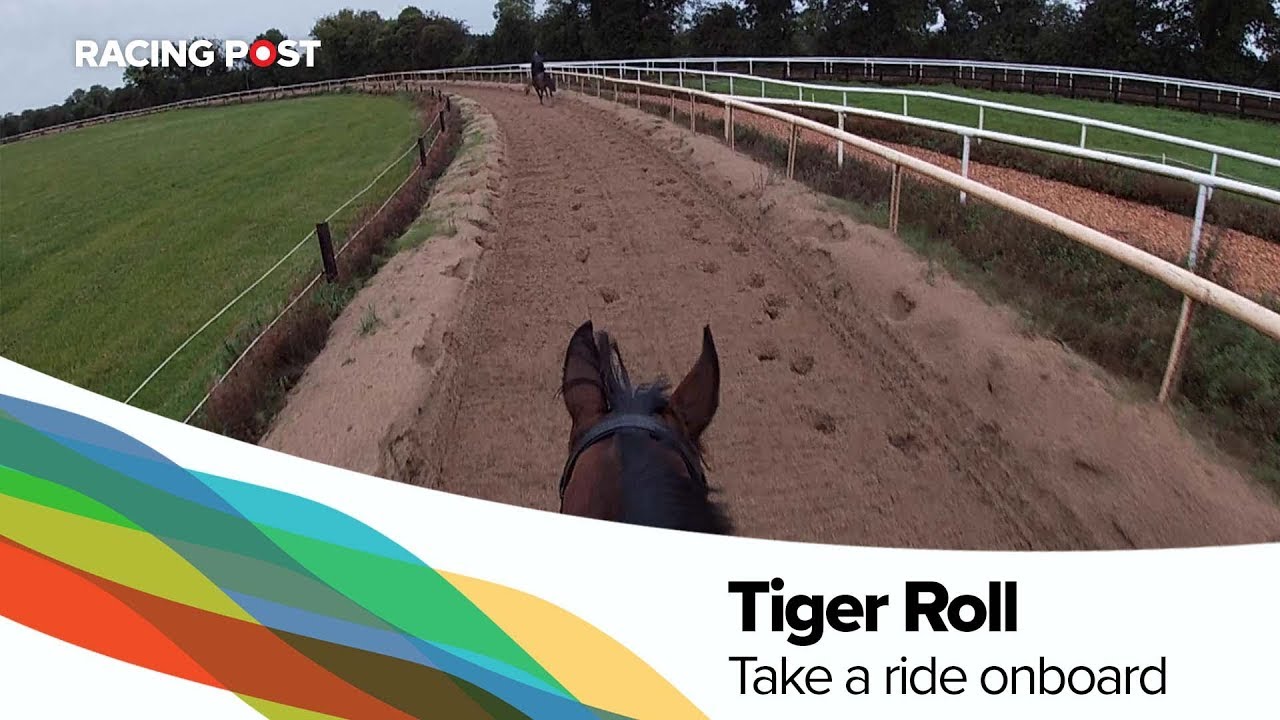 Taking a ride on board Tiger Roll - YouTube