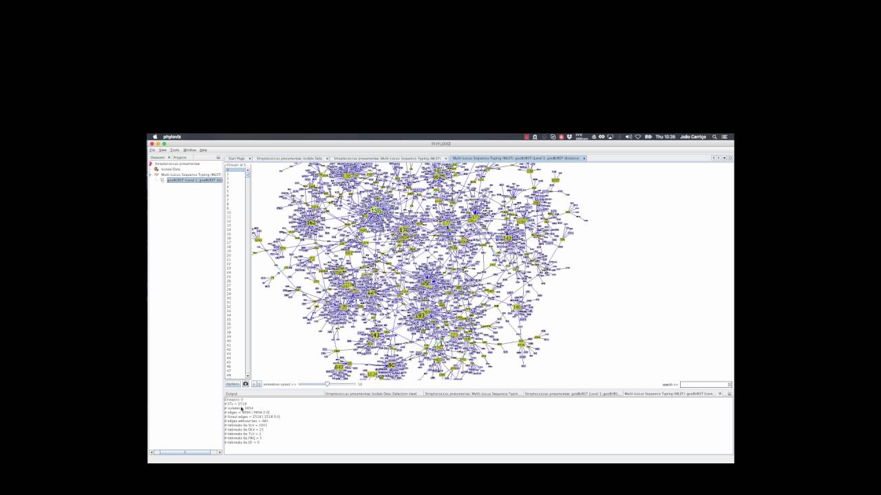 Handling Large Datasets In Phyloviz 2 0 Youtube