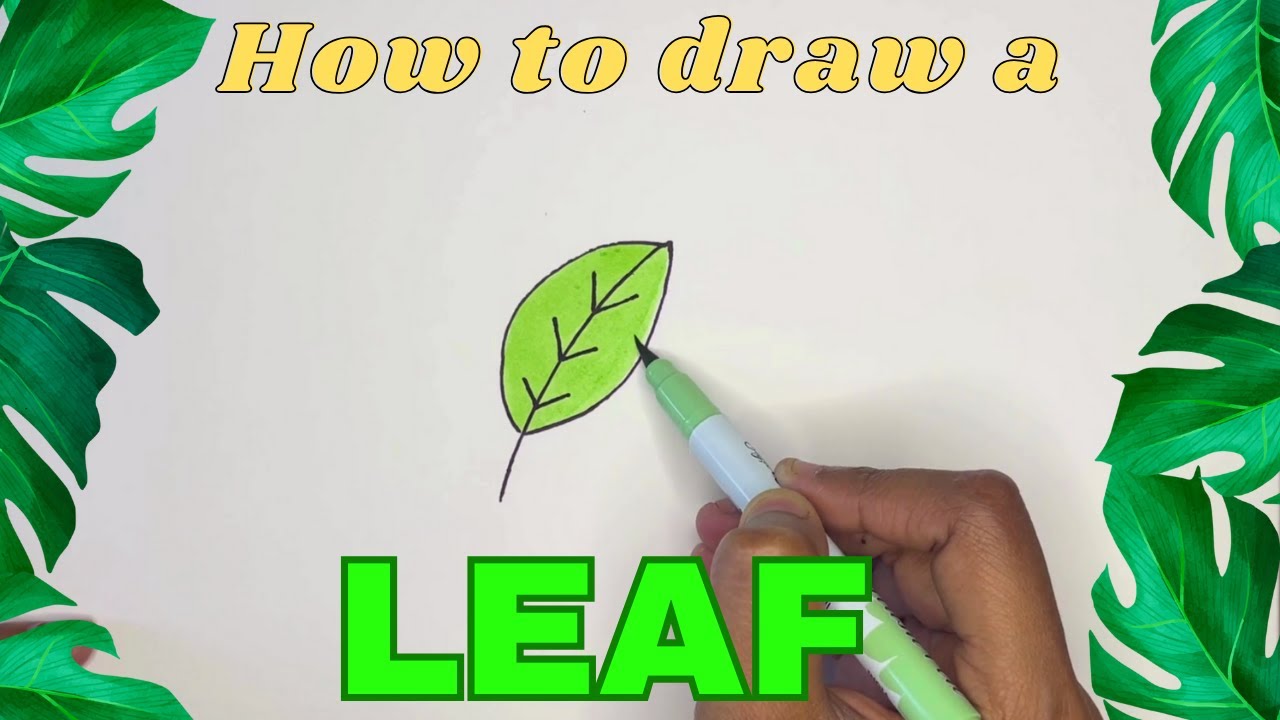 How to Draw a Leaf Step by Step | Easy Leaf Drawing for Kids - YouTube