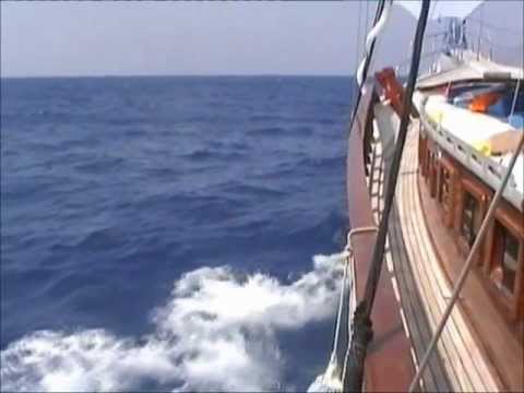 Milena ile Kısa bir Seyir