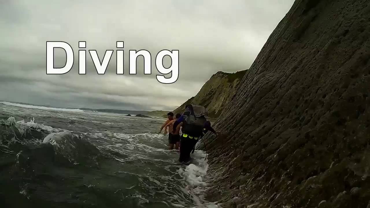Ocean Beach Dive NZ - YouTube