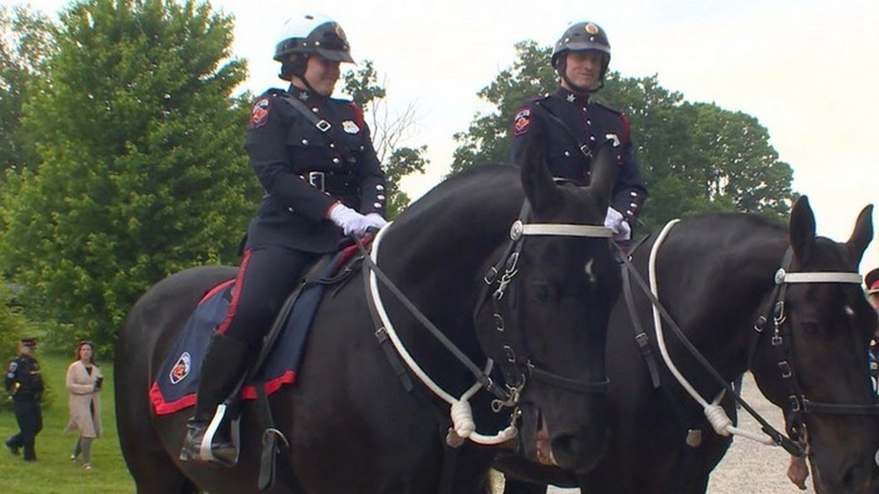 Hamilton Mounted Police welcome new horses, riders to force - YouTube