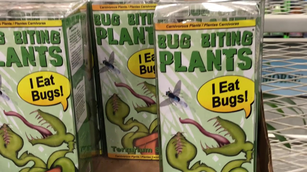 SPRING HAS SPRUNG - YouTube