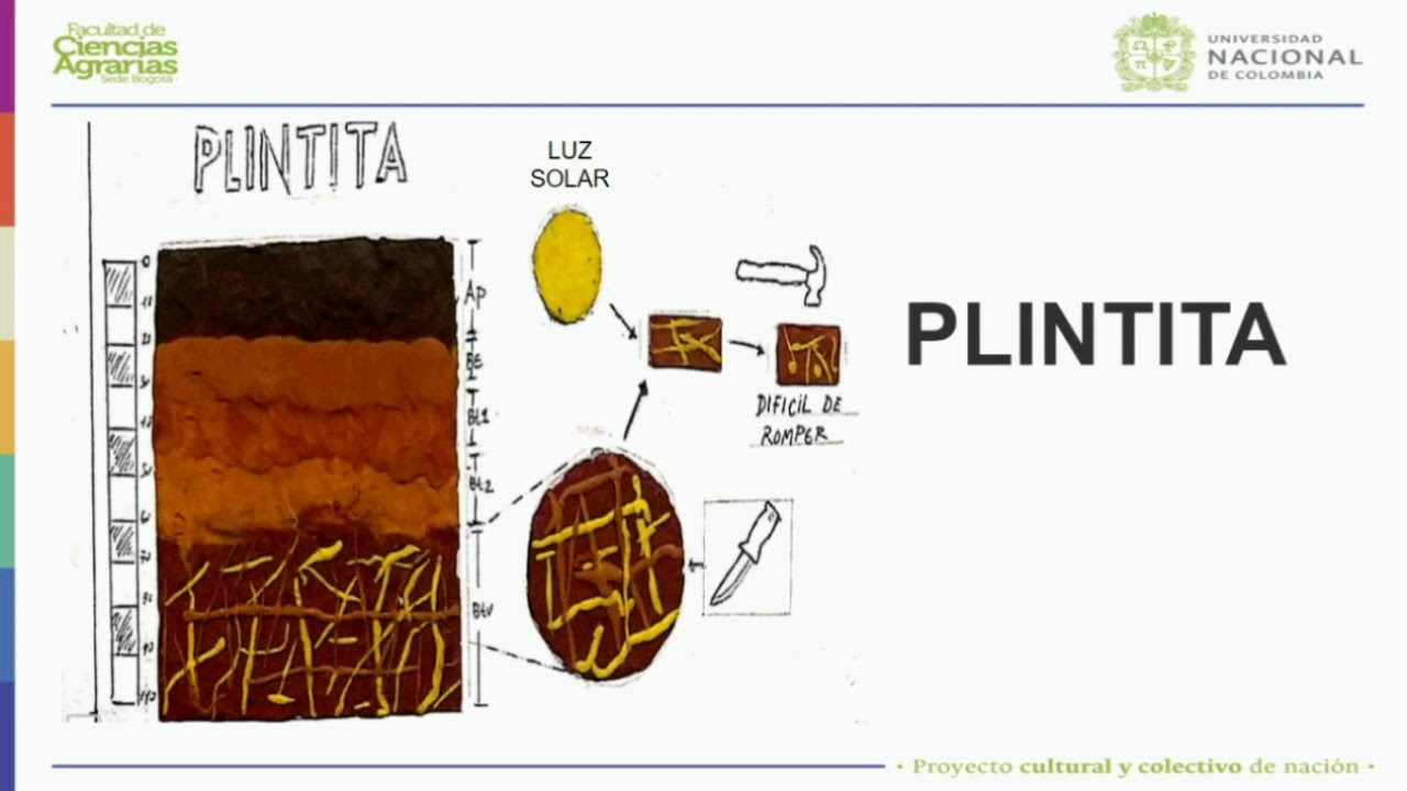 KANDICO-PLINTITA - YouTube