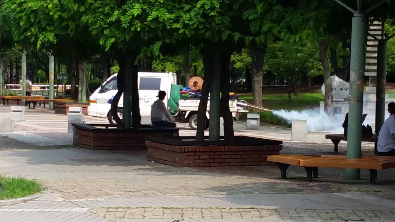 Strange Chemicals Being Sprayed On The Streets And Parks Of Korea - YouTube