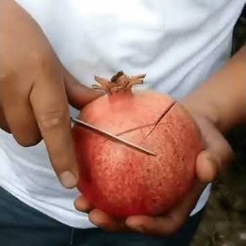 Кто еще не знает, как правильно чистить гранат - YouTube