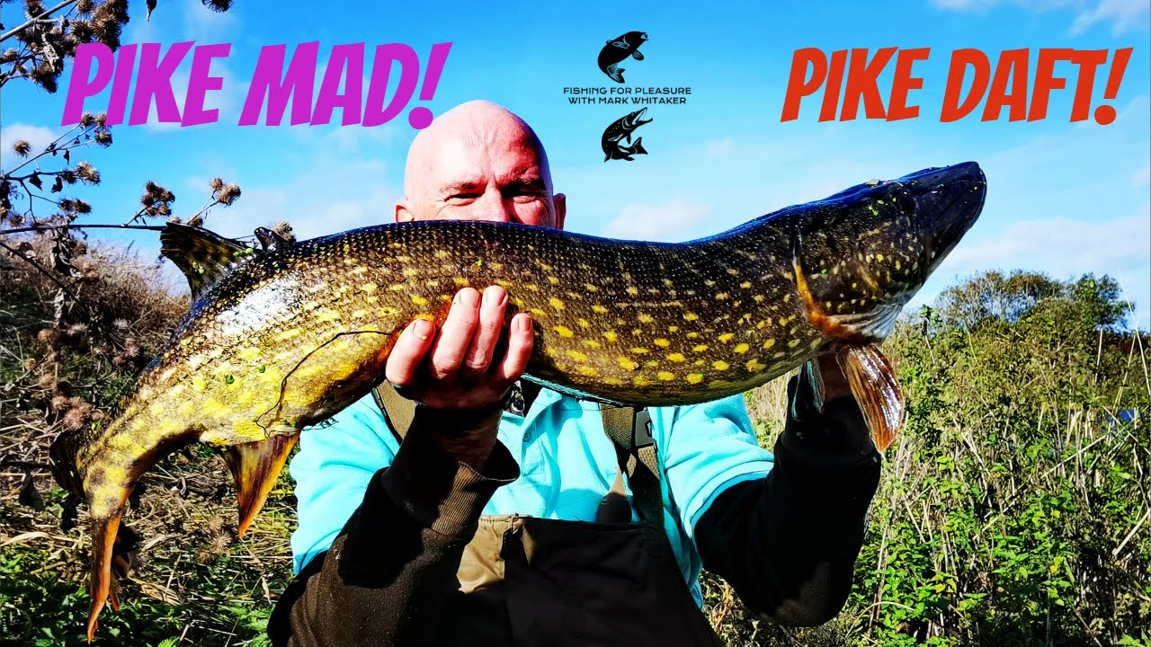 Pike mad Pike daft : Pike fishing UK - YouTube