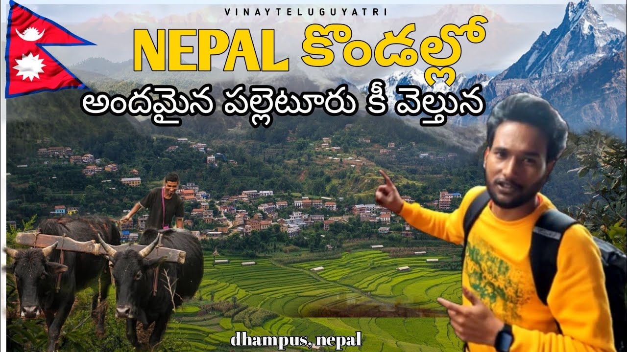 going to explore most beautiful Nepali Village Dhampus | nepal telugu vlogs | Vinay Telugu Yatri ...