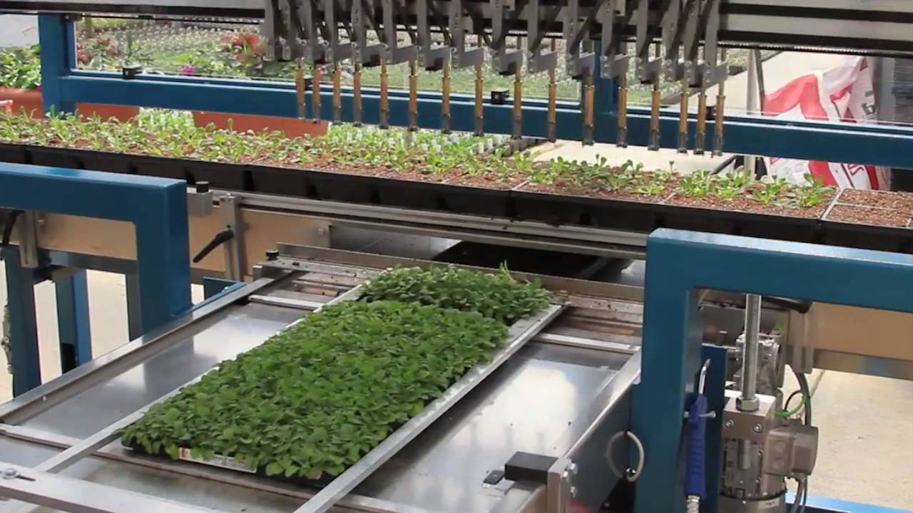 PackPlanter - A Machine That Transplants Plants - YouTube