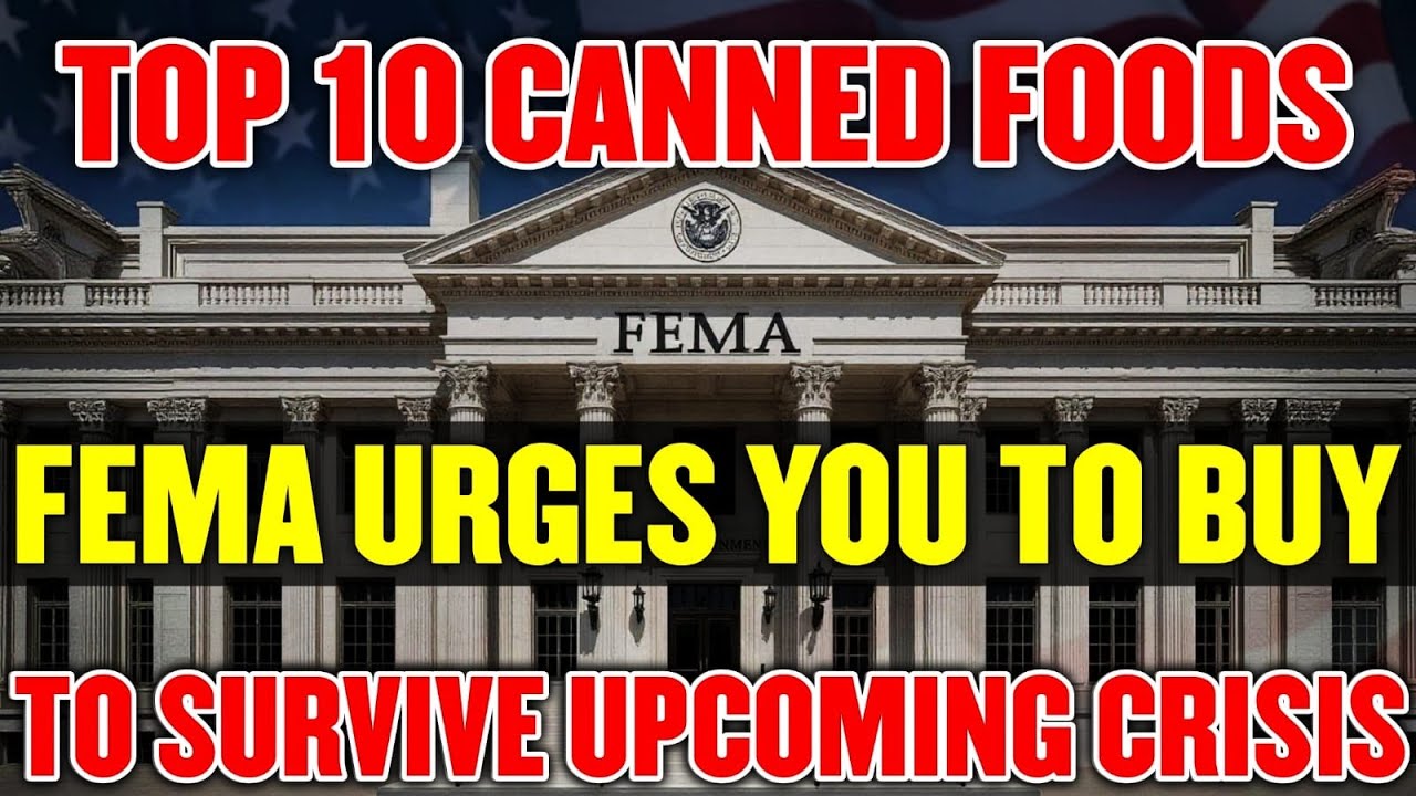 These 10 Canned Foods Essentials Are FEMA Approved for Long-Term ...