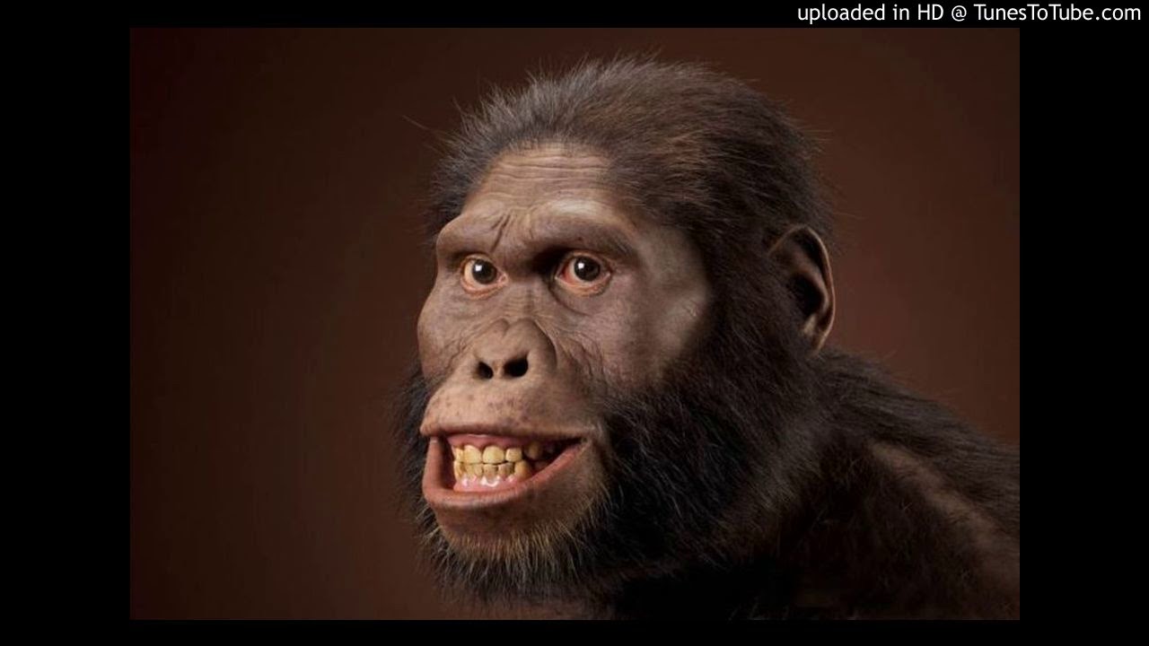 Cancion evolución humano 7MO - YouTube