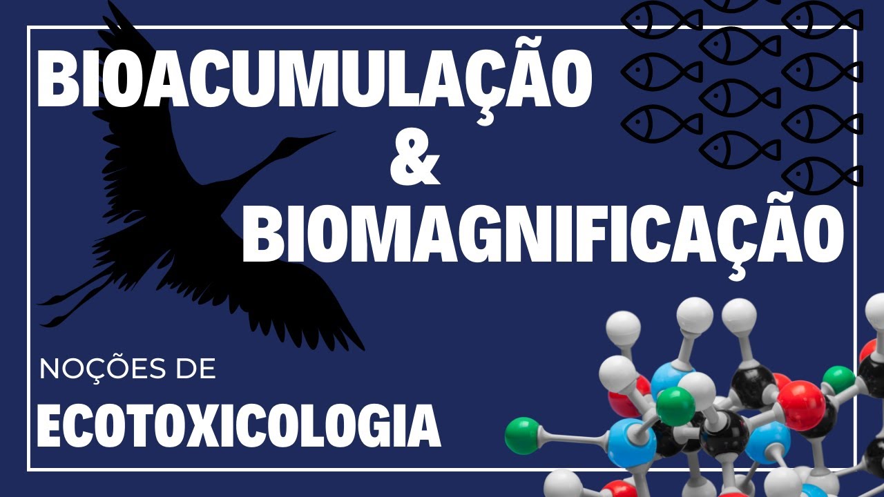Desvendando a Diferença entre Bioacumulação e Biomagnificação | Guia ...