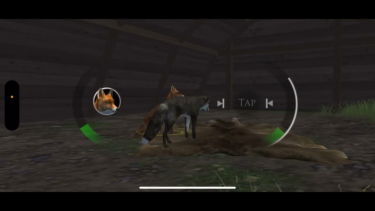 The Birth of Gem's and Puppeteer's pups|Ultimate Fox simulator 2 ...