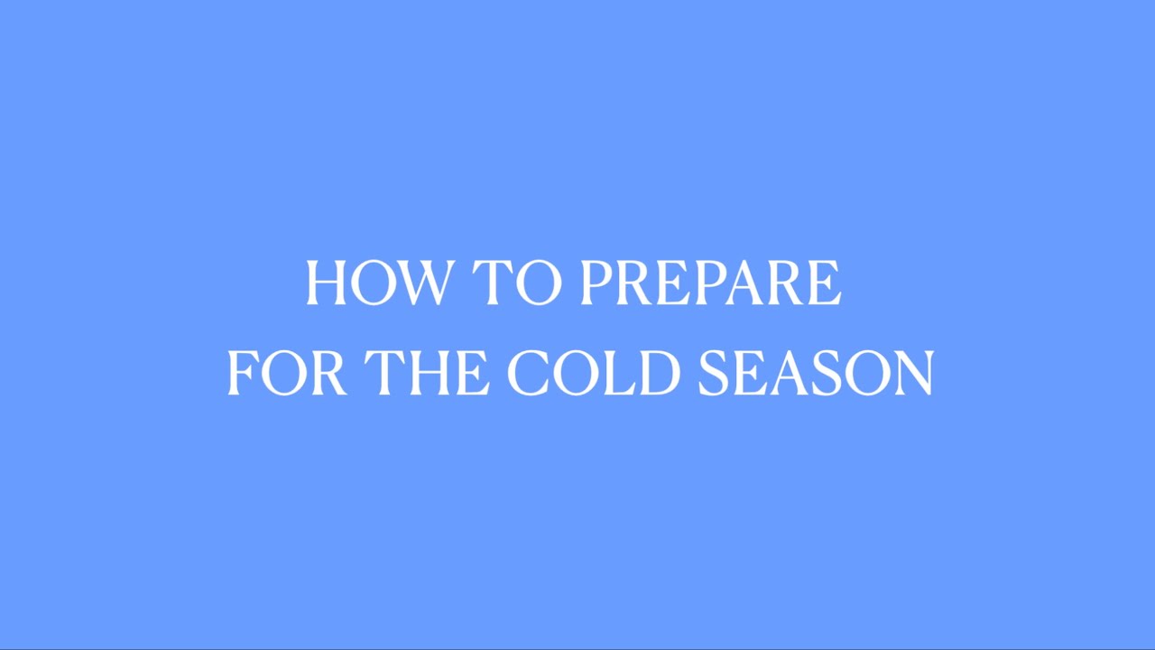 How to Stay Comfy and Cozy During the Cold Seasons | Wavelength - YouTube