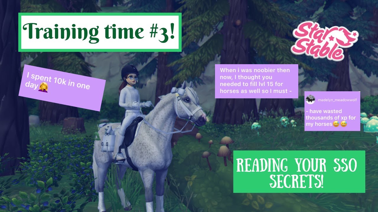 Star Stable - Training Time #3 - Reading your sso secrets! - YouTube