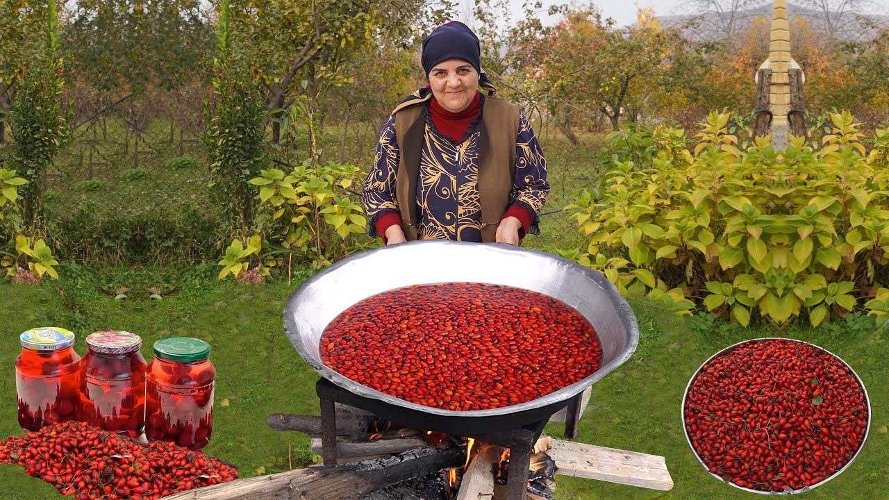 Harvesting Rosehip in the Mountains - Making Rosehip Jam and Fried ...