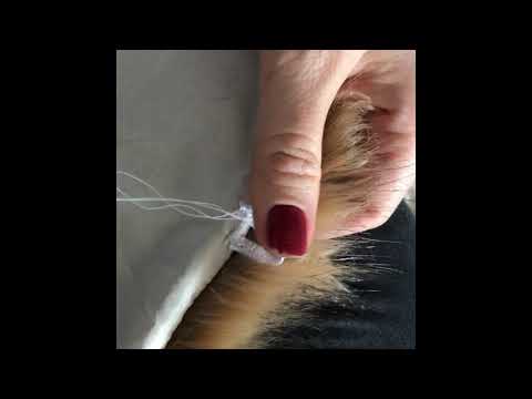 Montumun Kapşonunu Yeniledim (dıy)