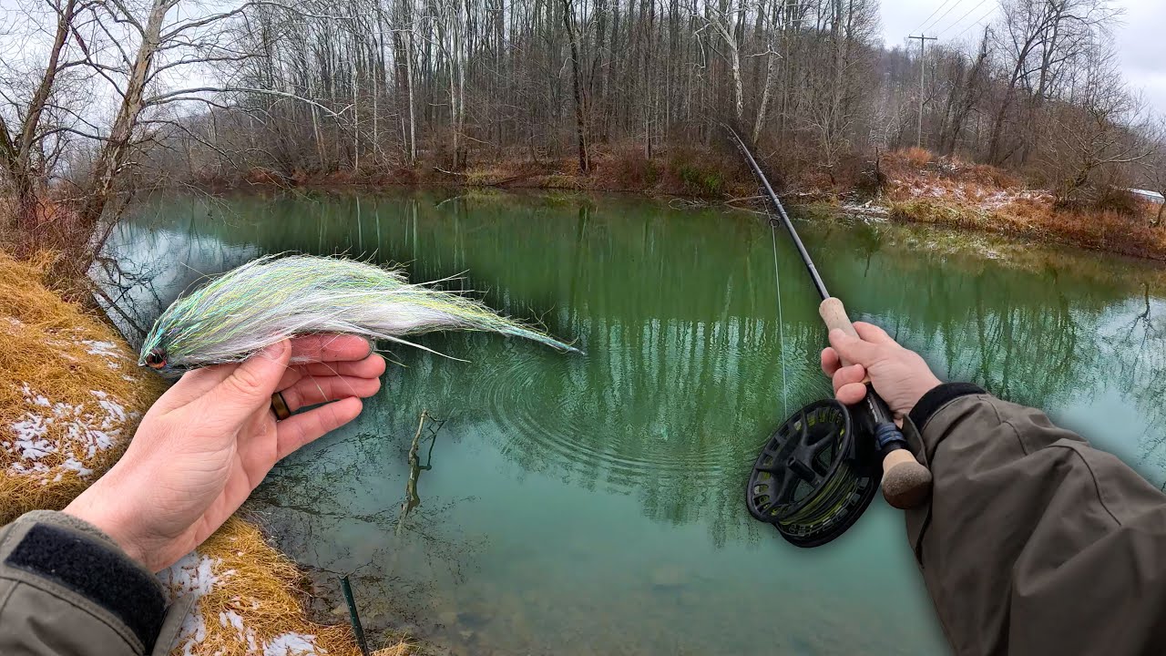 Fly Fishing With HUGE Streamers for Musky! || 4 Days of Action - Musky ...