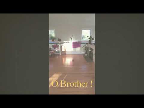 O Brother !       -  choreography by Bobbi Bailin